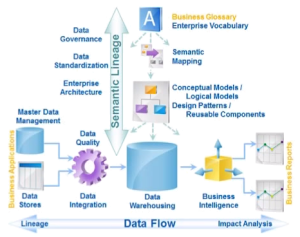 Seven Steps to Effective Data Governance | Lionsgate Software